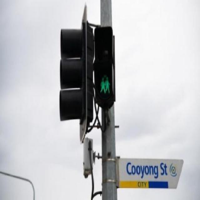 Pedestrian Traffic Light Object Detection Dataset By Project Wdkej
