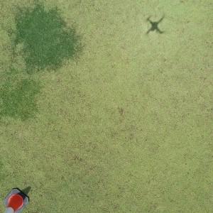 TFLW Object Detection Model by INDIAN INSTITUTE OF TECHNOLOGY MADRAS