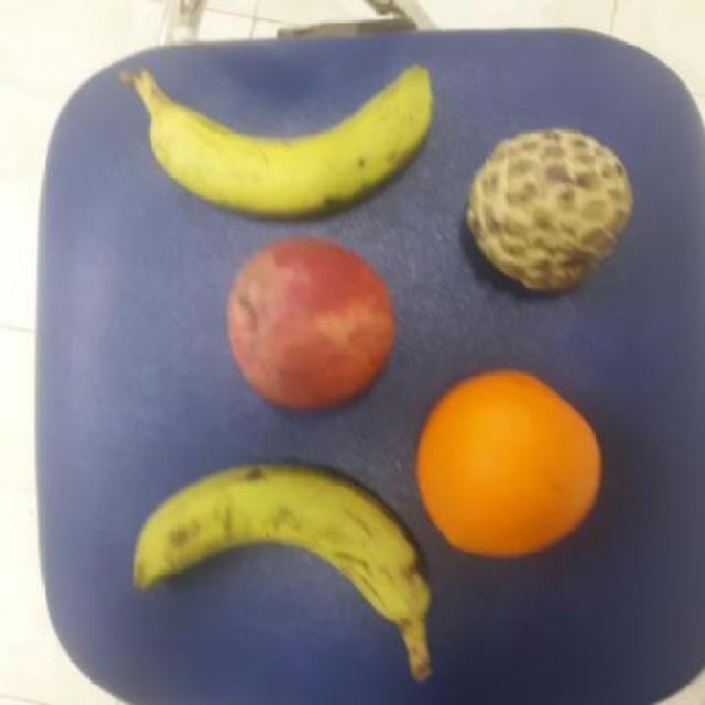 fruit Instance Segmentation Dataset and Pre-Trained Model by college