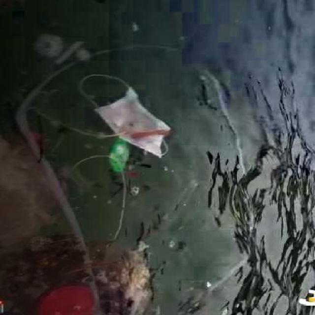Underwater Object Detection[1] Object Detection Dataset And Pre Trained Model By Harsha