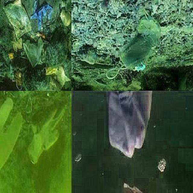 Under Water Object Detection Object Detection Dataset And Pre Trained