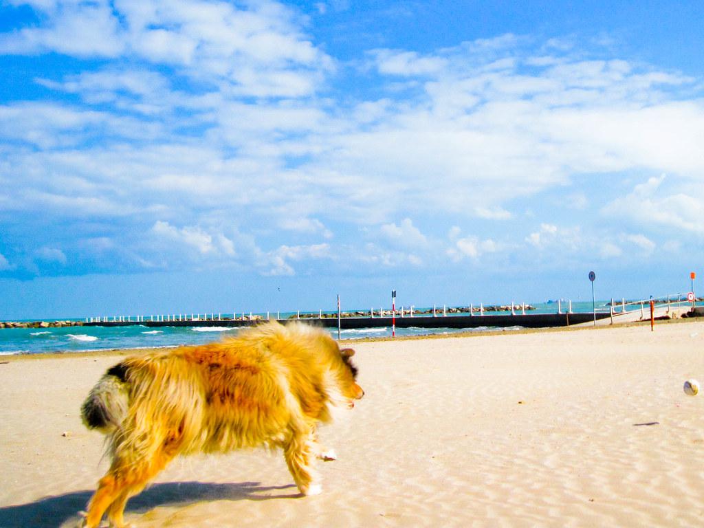 background Instance Segmentation Dataset by Research