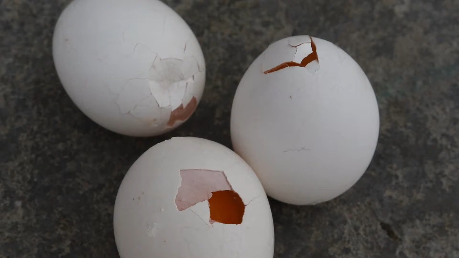 egg Instance Segmentation Dataset by my demo