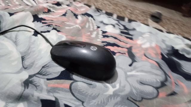 Mouse Object Detection Dataset by Sla