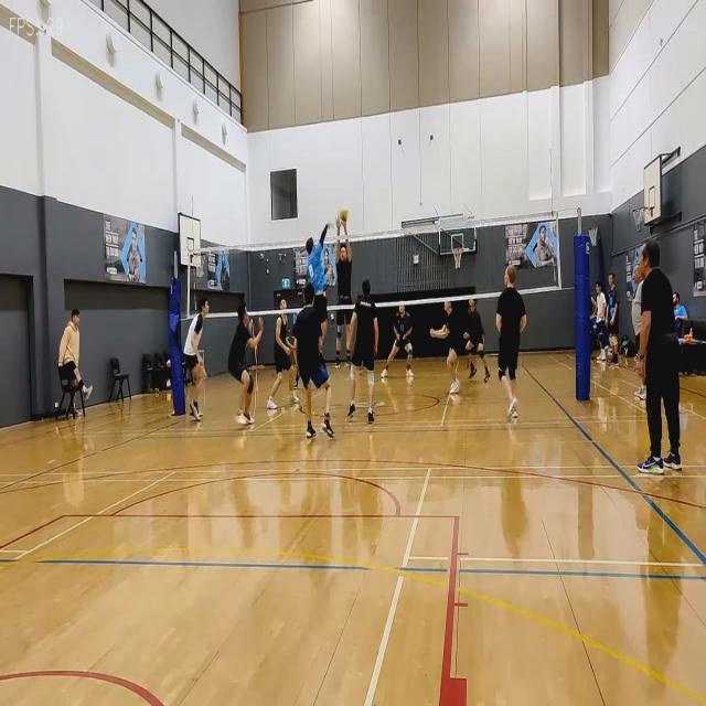 vball Object Detection Model by William Zhang