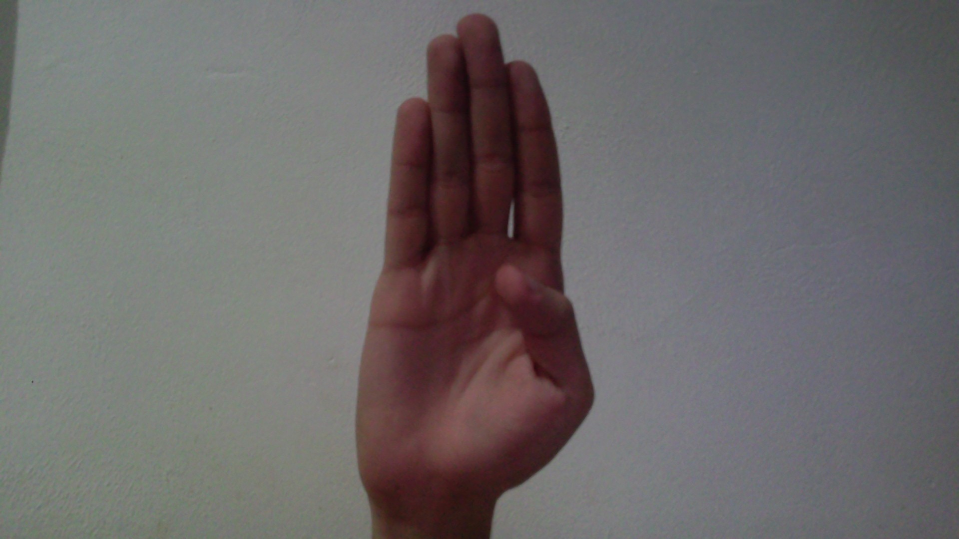 Sinais De Libras Object Detection Model By Tcc