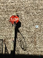 gdfgd Object Detection Dataset by Redger