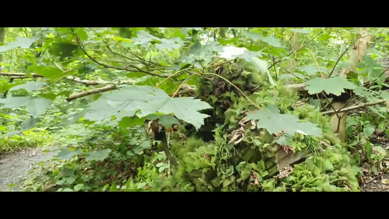 Camouflage Object Detection Dataset by mad