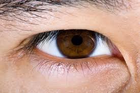 Eye project Classification Dataset and Pre-Trained Model by image classification eyes