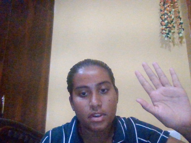 VAC - Roboflow Universe