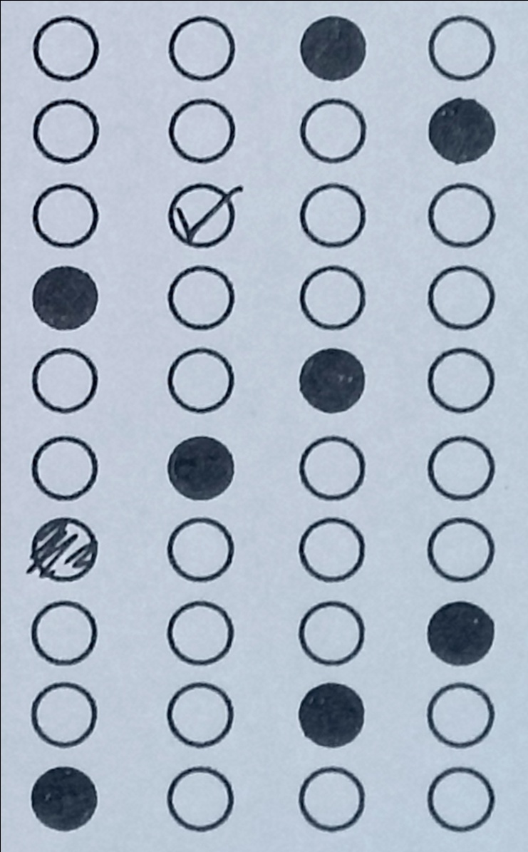 Bubble Detection Object Detection Model by STAGE2B