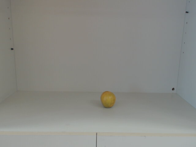 orange Object Detection Dataset by LARC2022