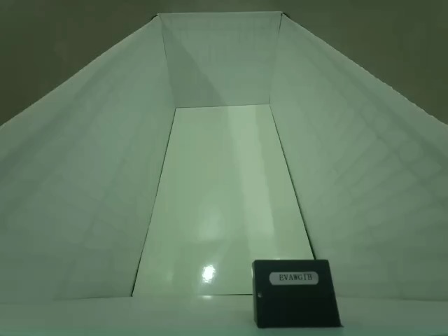 test Object Detection Dataset and Pre-Trained Model by test