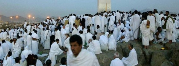 How to Use the YOLO-CROWD Object Detection API