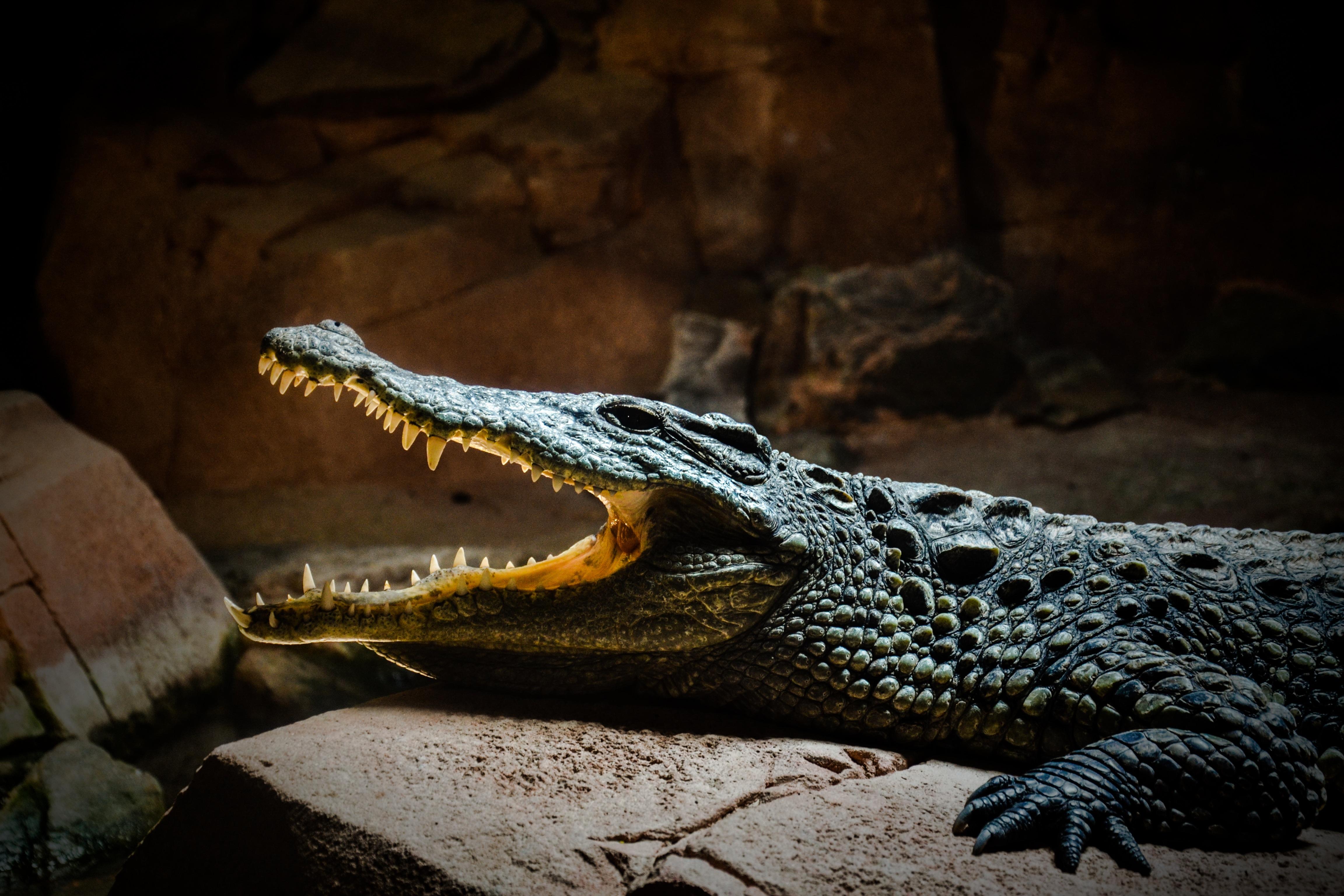 EAS MV Classification Model by machine vision