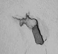 scratchannotation - Roboflow Universe