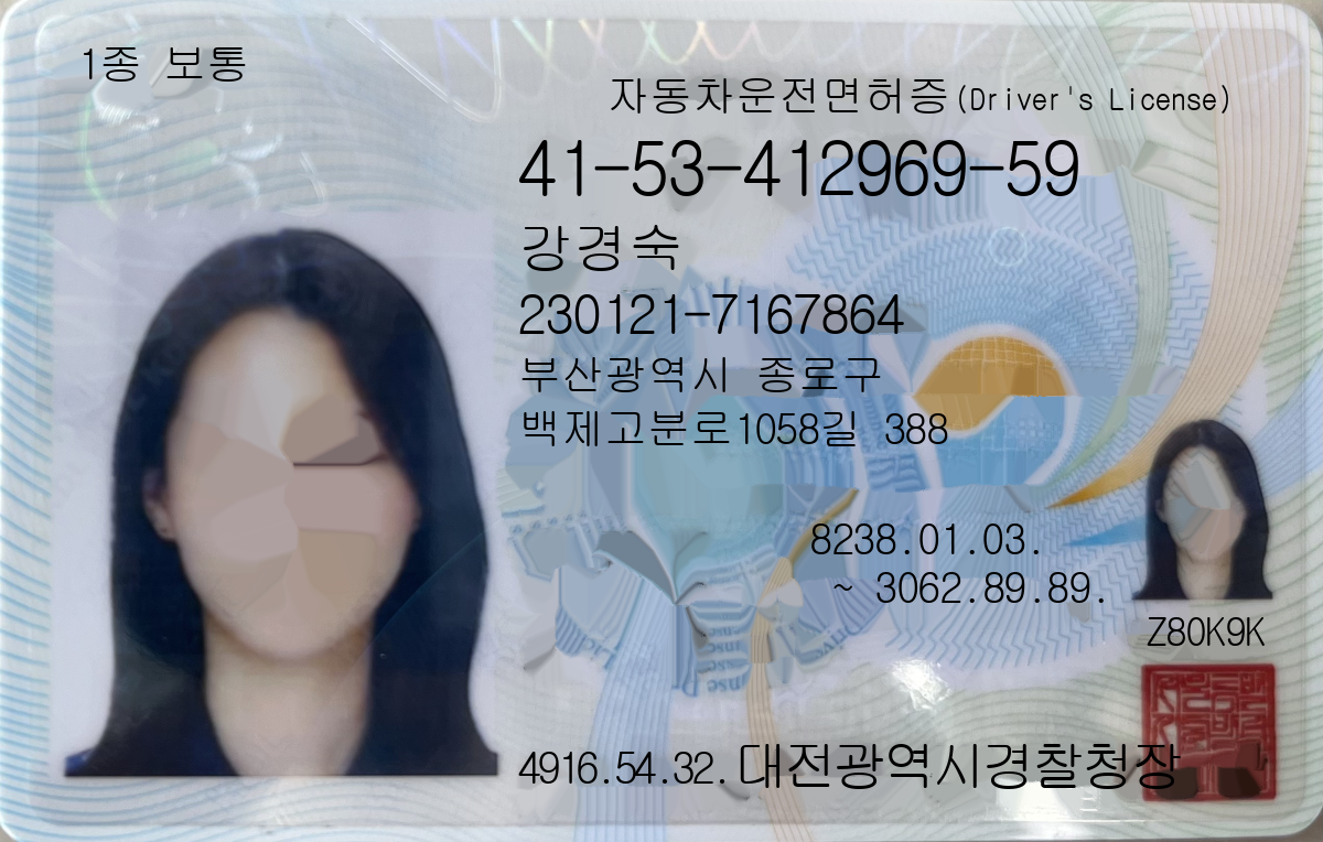 license1 Object Detection Dataset by SecurePic