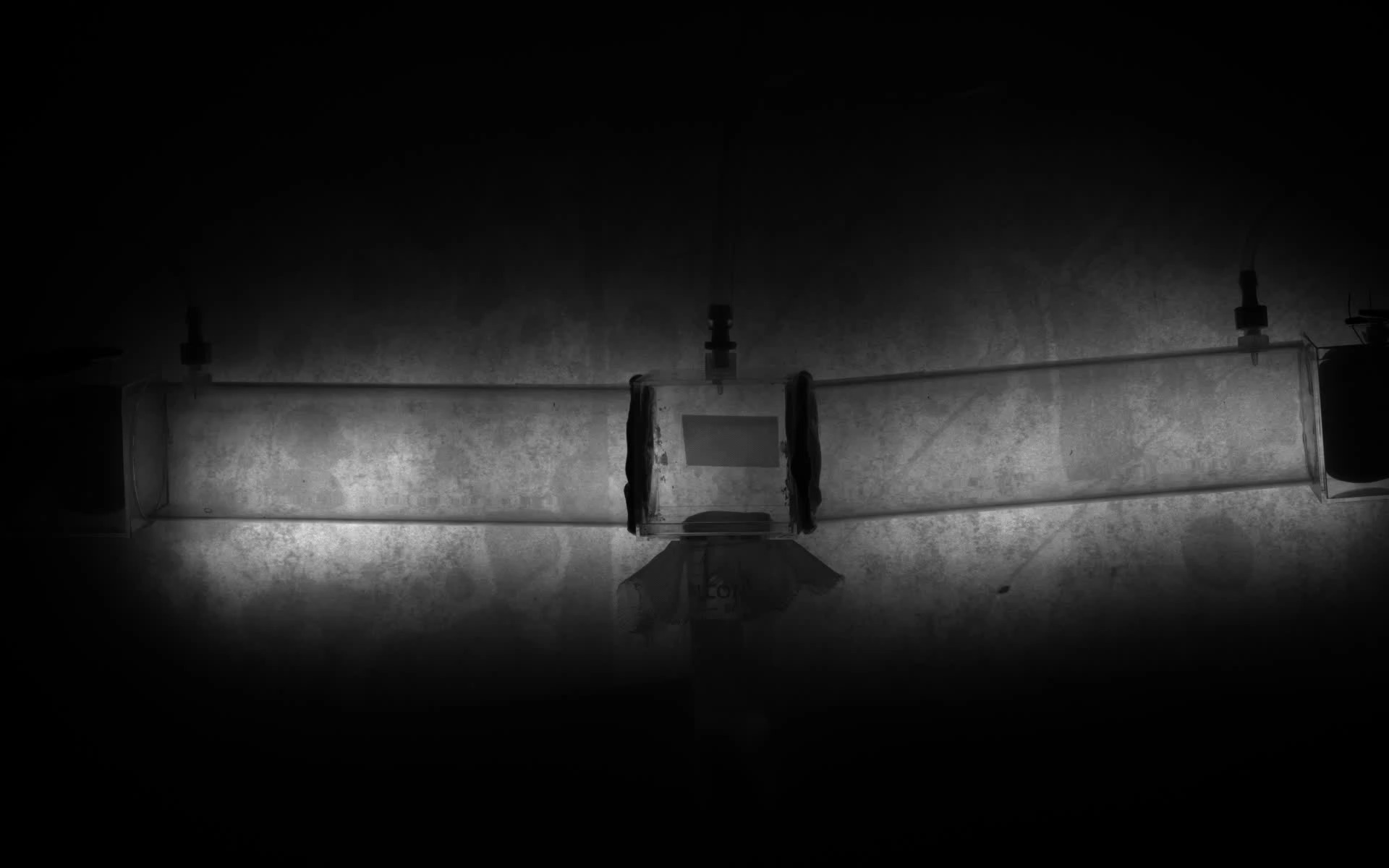 Mosquito Detection Object Detection Dataset By Research