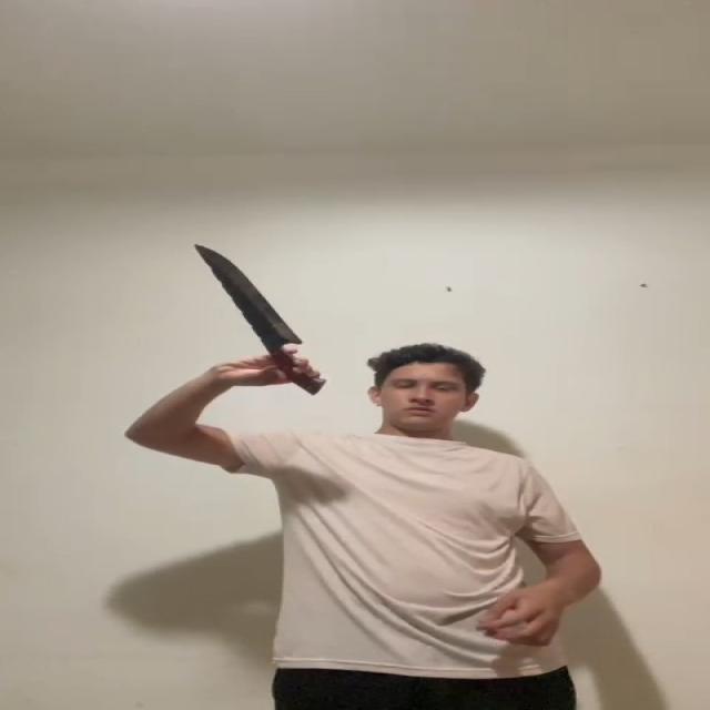 weapons Object Detection Dataset and Pre-Trained Model by sri