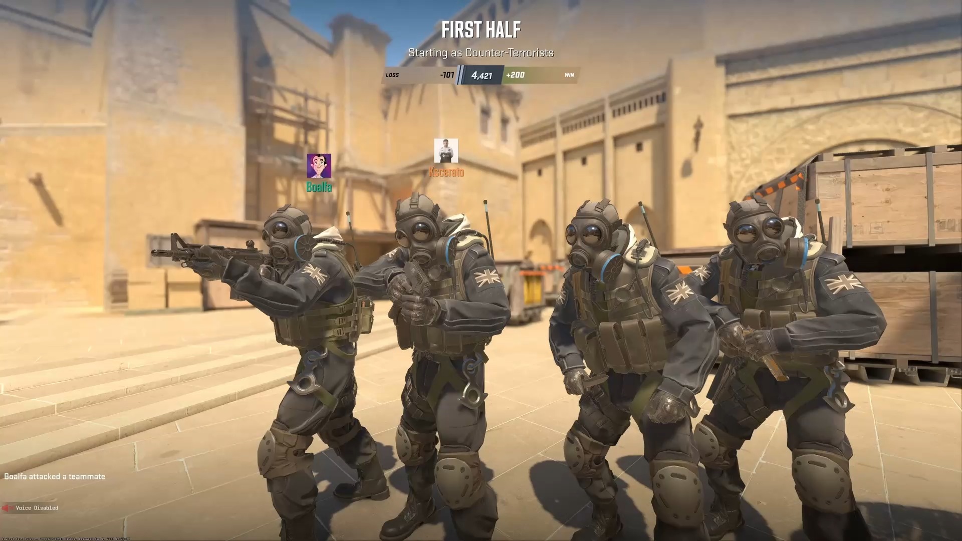 cs2 Object Detection Dataset by based