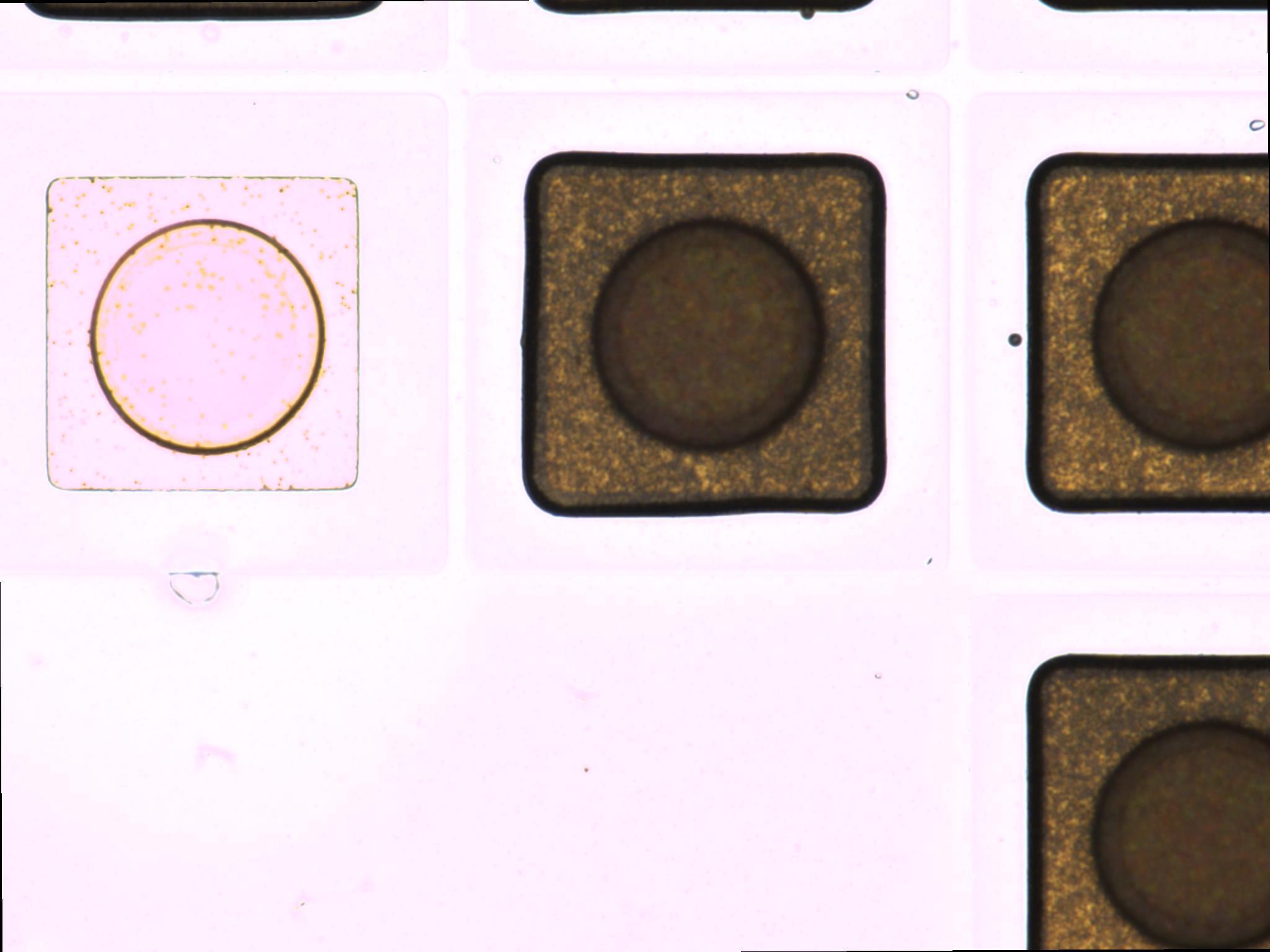 Die_III_valid Object Detection Dataset by MarkDie