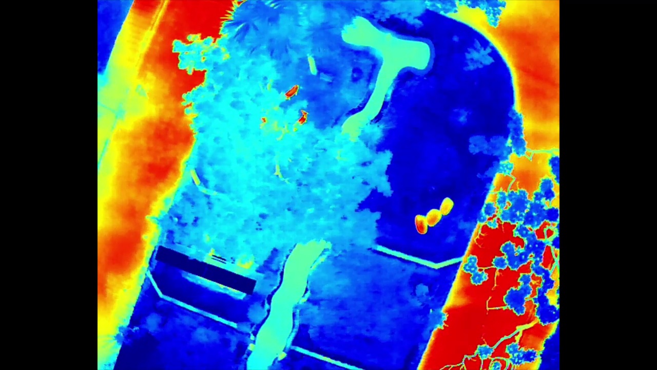 Deer Object Detection Dataset by Public