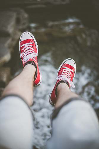 Ankle Snatcher Object Detection Dataset by Micah Rao