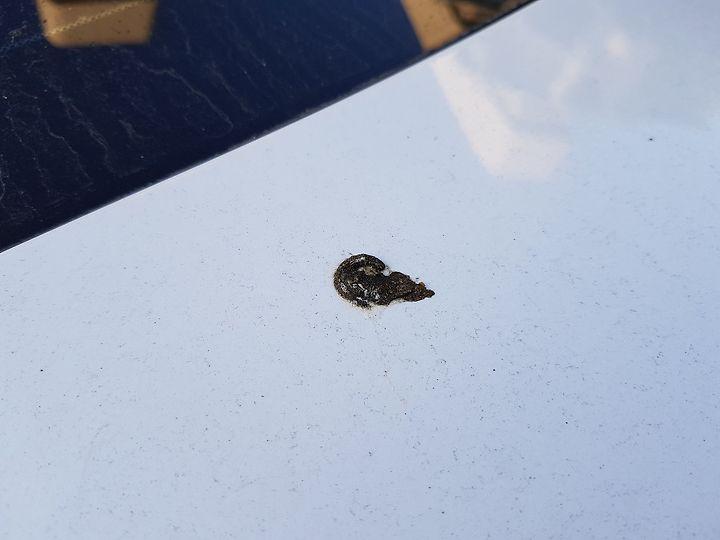 New Dataset Yolo Instance Segmentation Dataset By Pannel