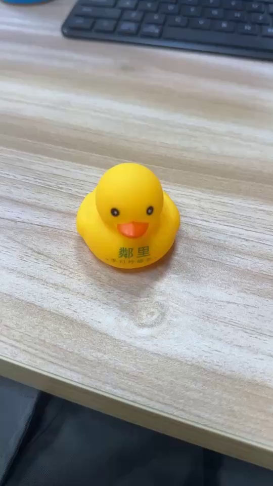 Duck Object Detection Dataset And Pre Trained Model By Martin