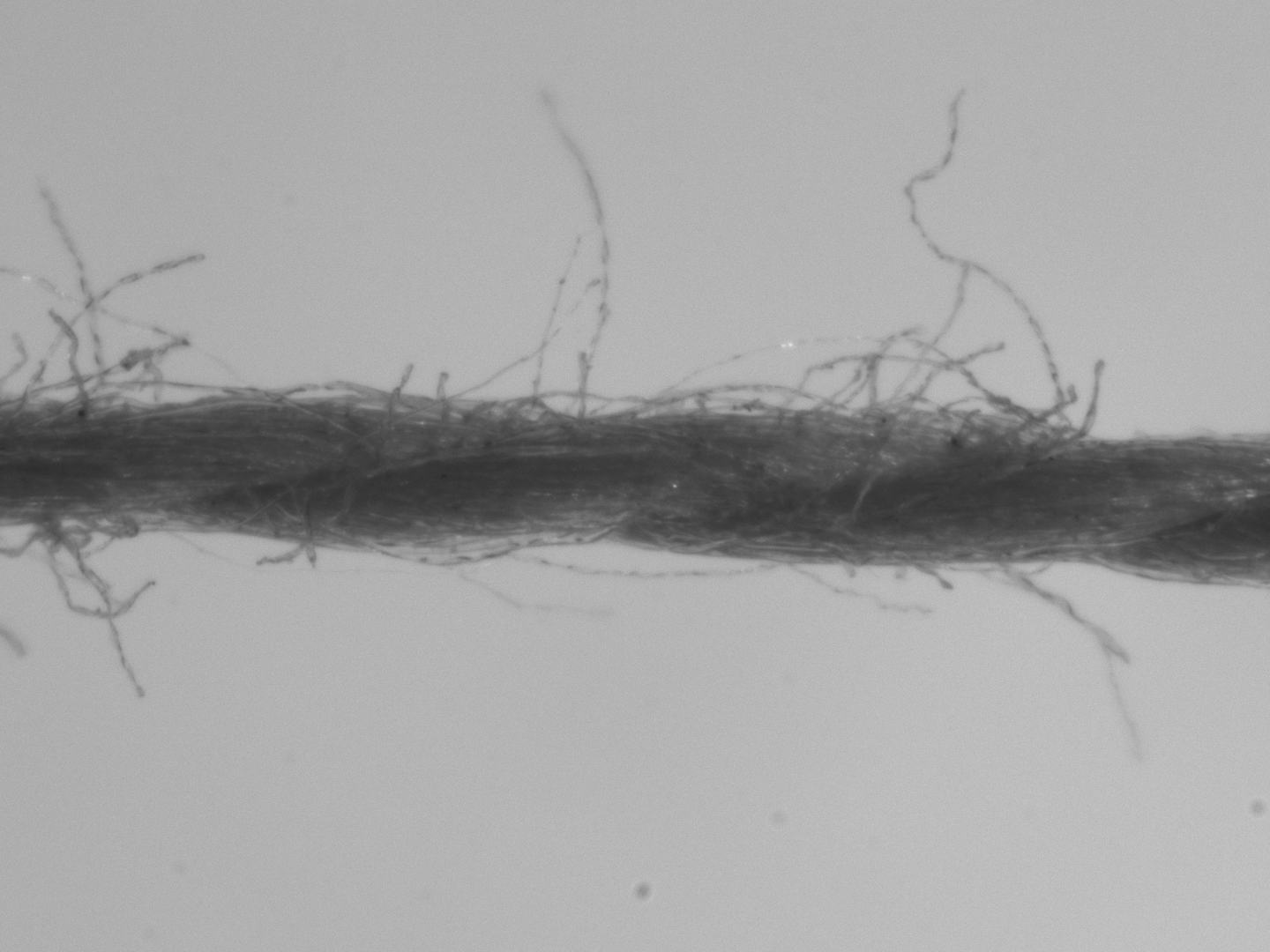 How to Use the Yarn defects Object Detection API