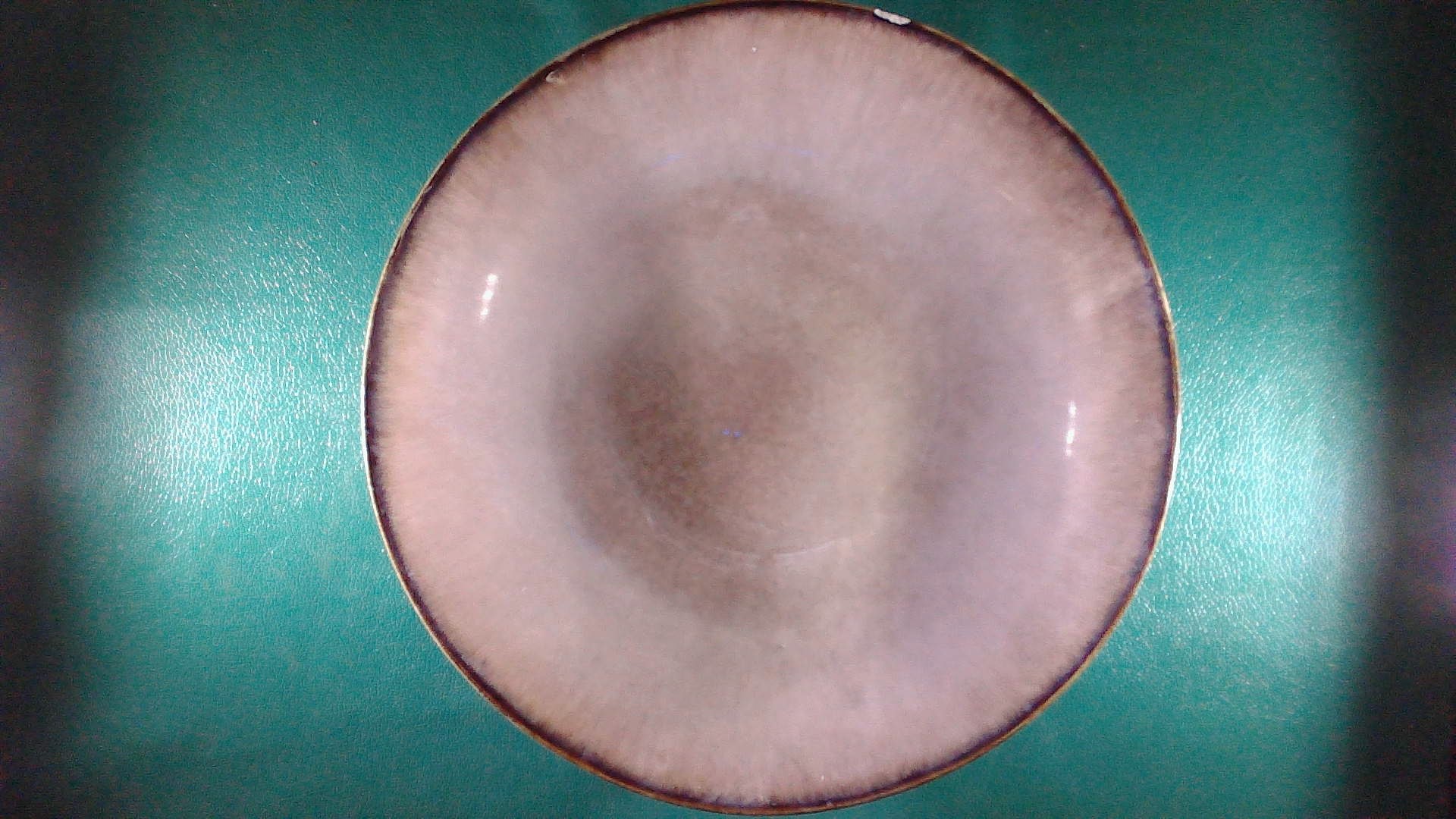 Chip Instance Segmentation Dataset by plate