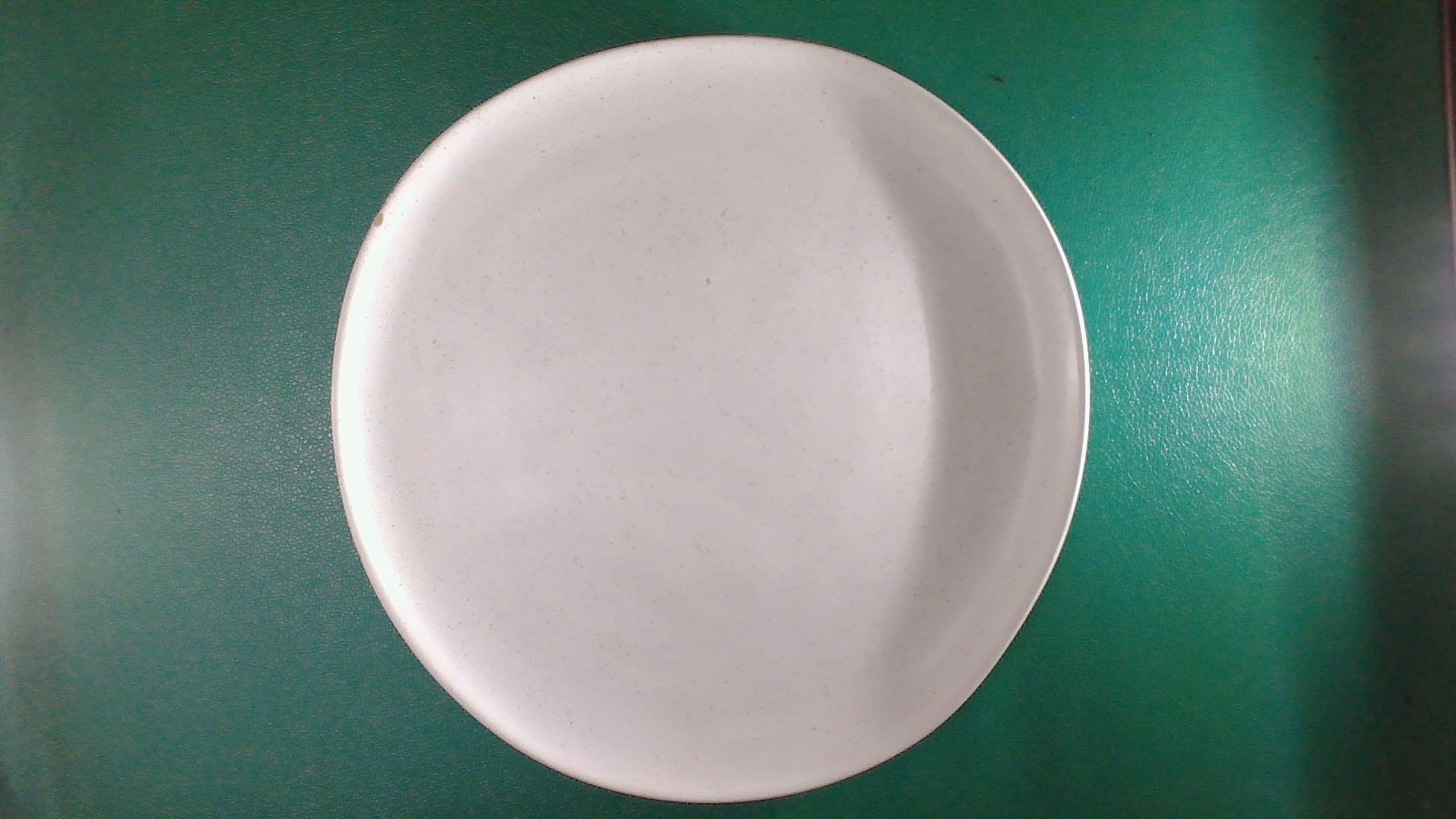 Chip1 Instance Segmentation Dataset by plate