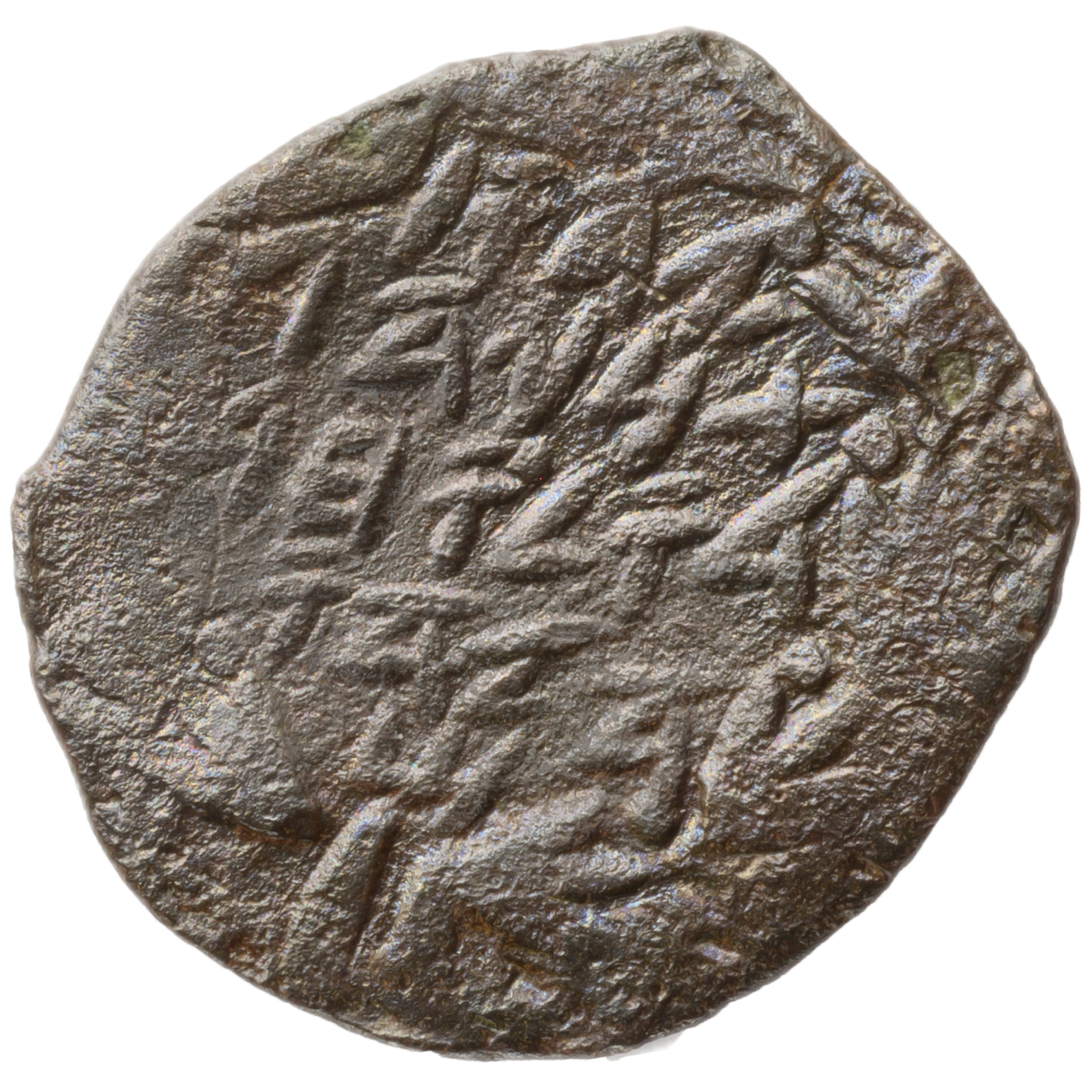 Hasmonean_Coins_Names Object Detection Dataset by HasmoneanCoinsProject