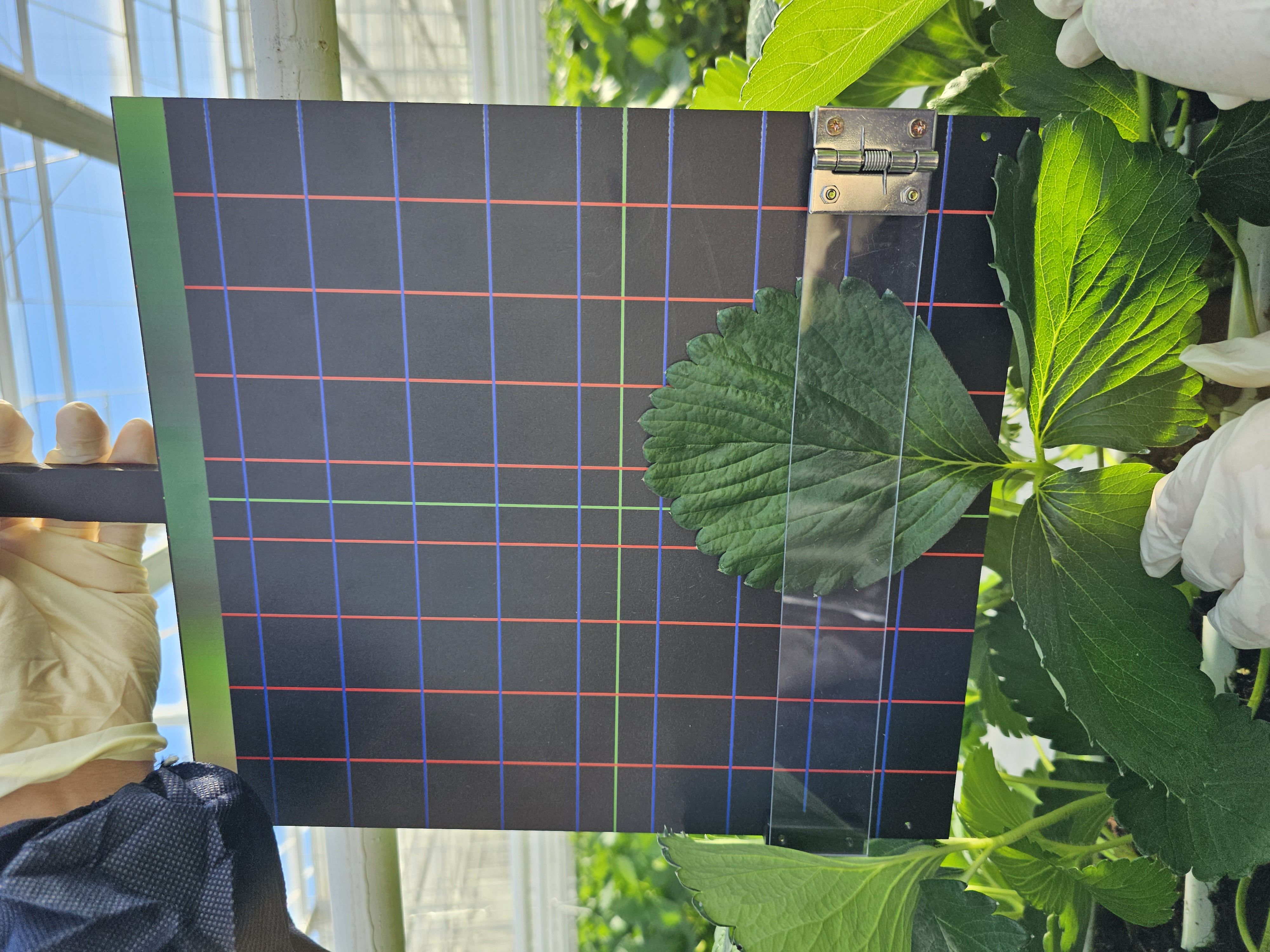 Plate_seg Instance Segmentation Dataset by main1