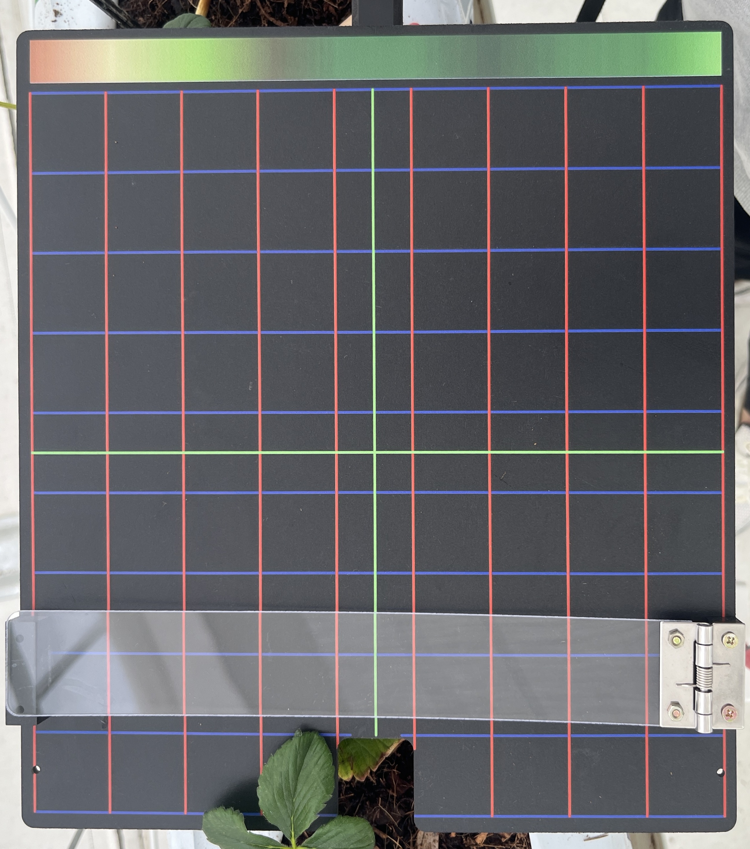 uni_leaf_bbox_newstandard Object Detection Dataset by main1