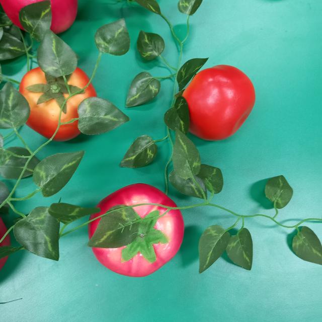 Tomato-Segmentation Object Detection Dataset by sansovandara