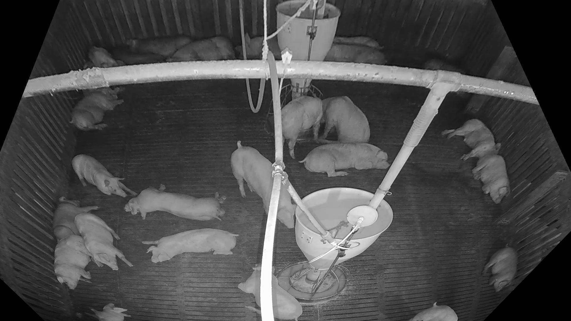 hadong Object Detection Dataset by Yu