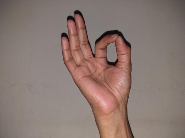 Bangla Sign Object Detection Model By Cryptical