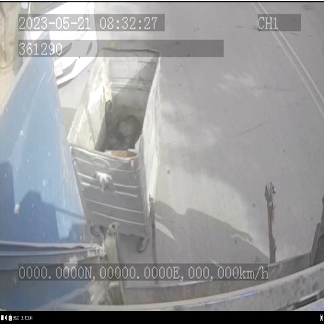 How To Use The Bins Object Detection Api