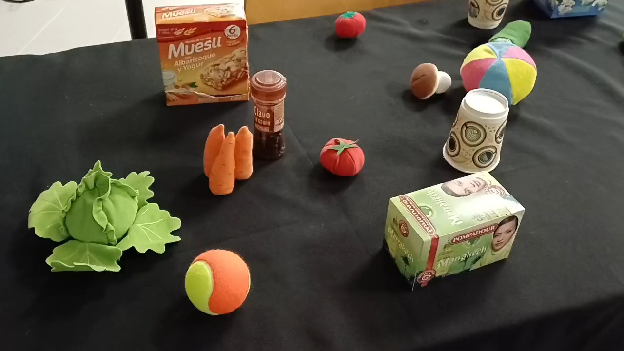 Robotic Intelligence Object Detection Dataset and Pre-Trained Model by Semester 03