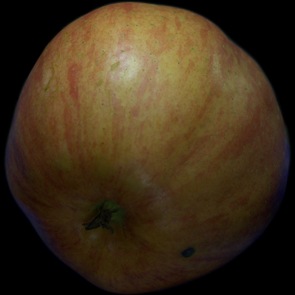 Han Nguyen (han-nguyen-nslcu) - Roboflow Universe