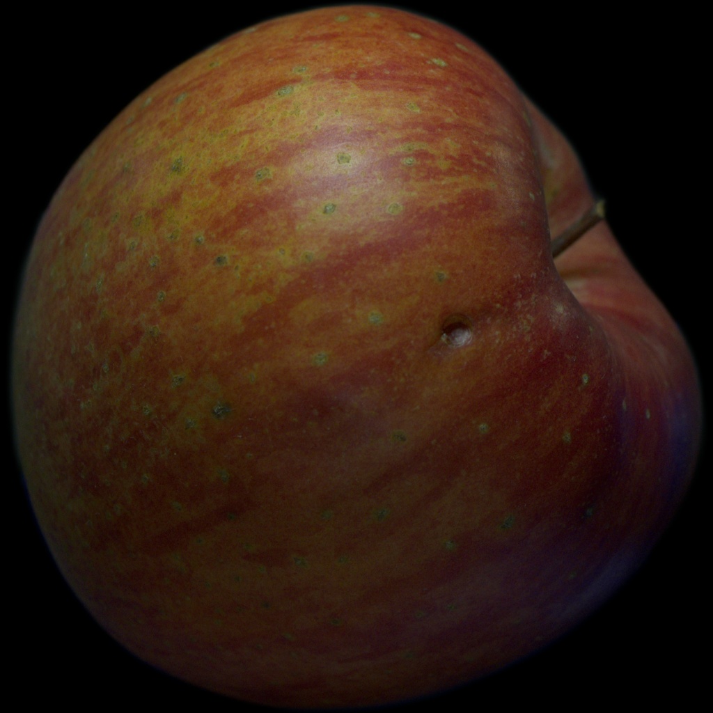 apple-defects Object Detection Dataset by Han Nguyen