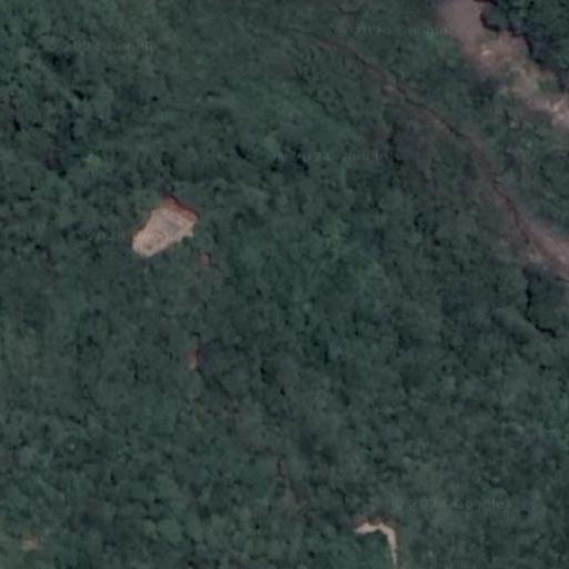 666 Object Detection Model by wyx666