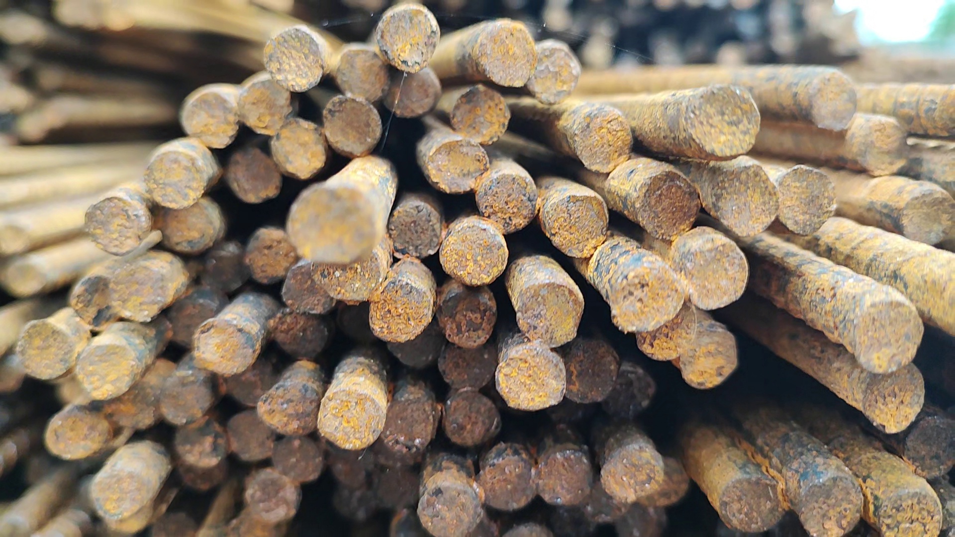 Annotation Team C - Roboflow Universe