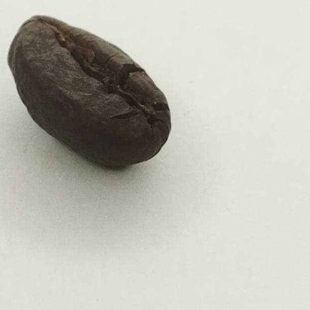 Bean Type Detection Object Detection Dataset And Pre Trained Model By