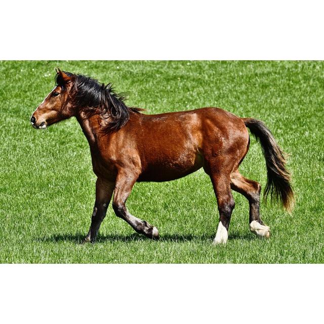 University Of God - Roboflow Universe