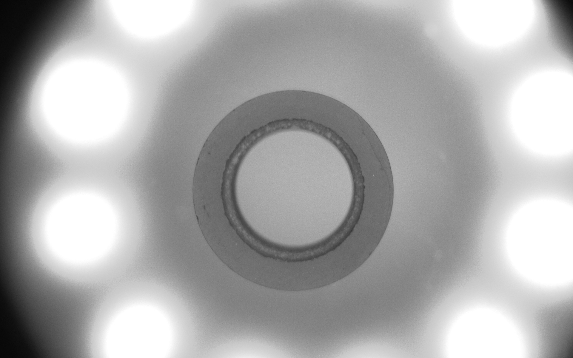 sk_blue_valid Instance Segmentation Dataset by weightsradome