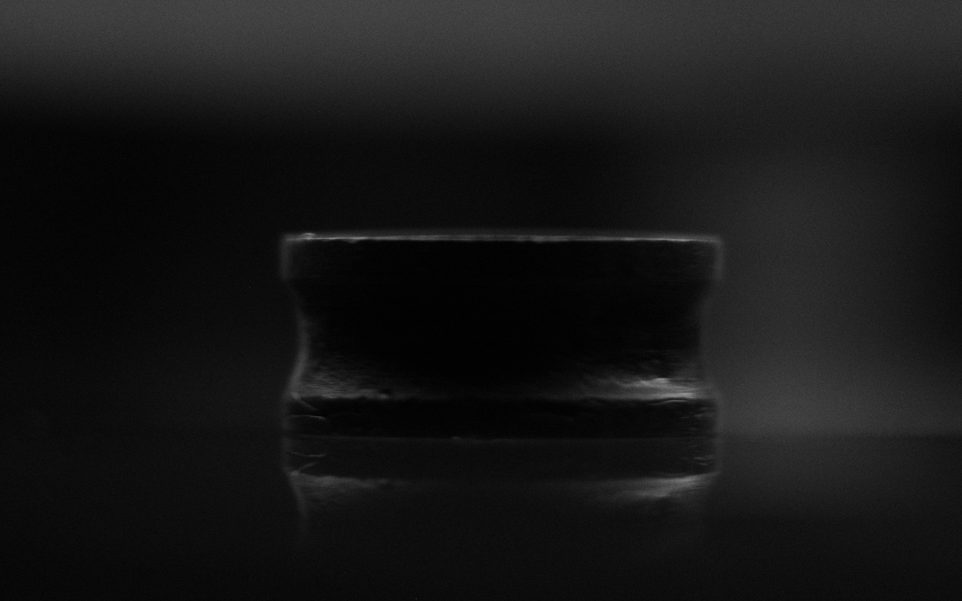 sk_black_side Instance Segmentation Dataset by weightsradome