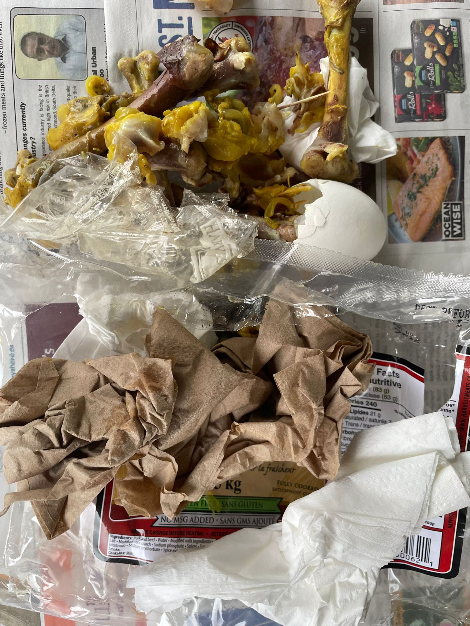 waste detection Object Detection Dataset and Pre-Trained Model by Object detection