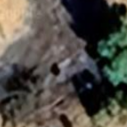 tree&shade Instance Segmentation Dataset by easyTry